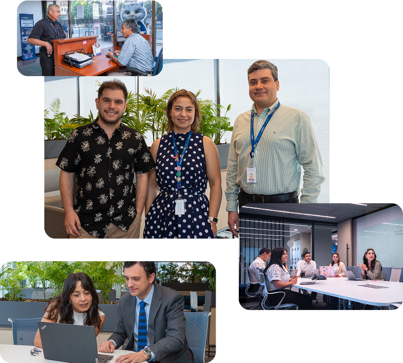 Nuestro Equipo - BICECORP