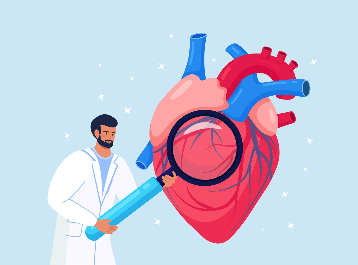 Cómo cuidar el corazón: síntomas, ejercicios y alimentos clave | BICE VIDA