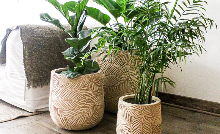 Plant Me - Banco BICE